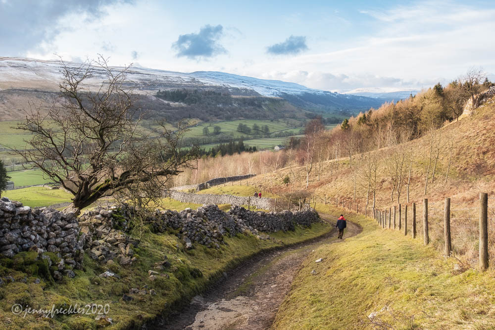 Saltaire Daily Photo: Wharfedale views