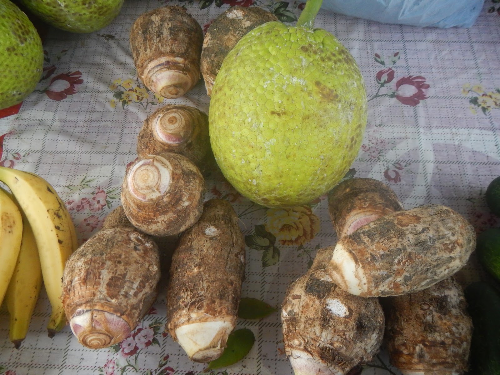 Onapua........the sailing vessel: 10 common vegetables/fruits grown in ...