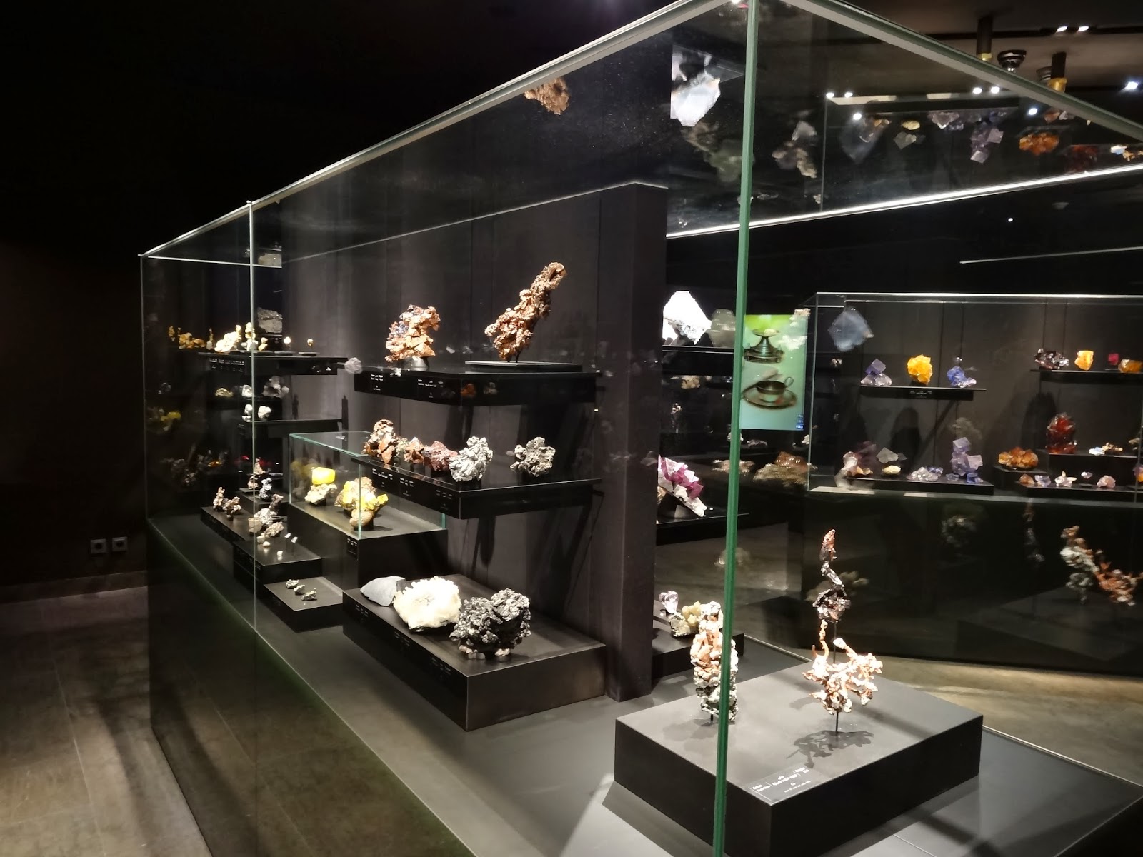 Natural History Museum of L.A. Minblog: Opening of the MIM museum in ...
