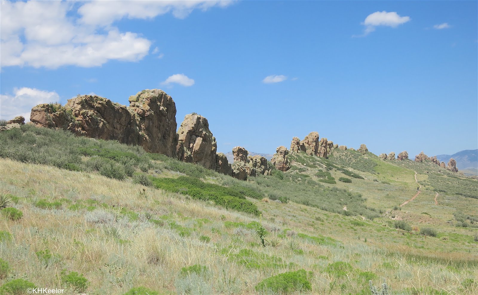 A Wandering Botanist: Visiting Colorado--Devil's Backbone, Loveland ...
