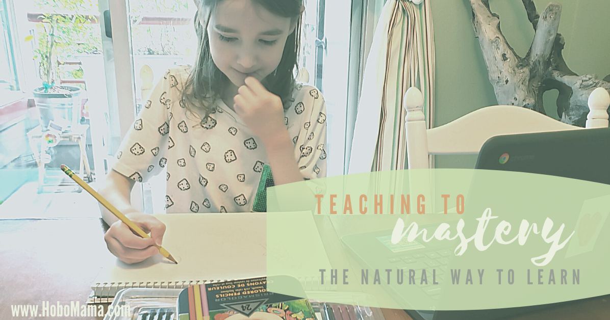 Hobo Mama: Teaching to mastery: How we naturally learn