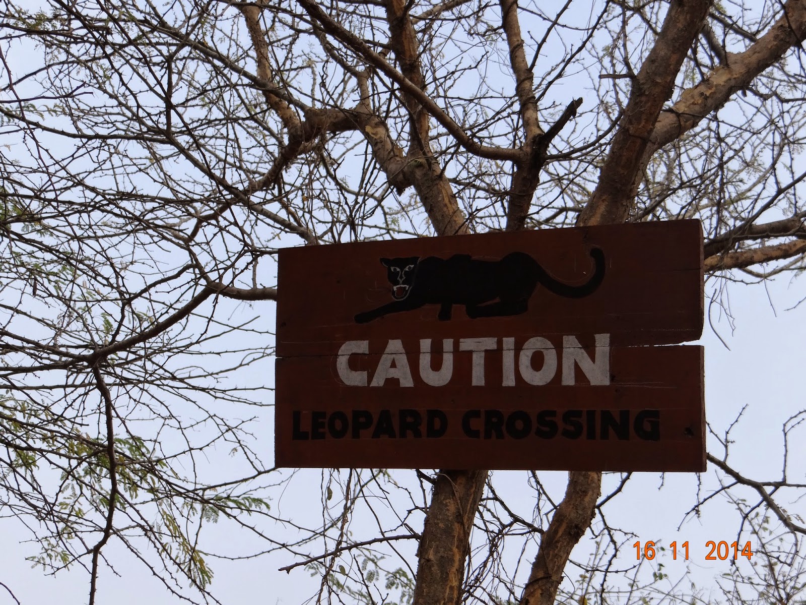 ITINERANTUR: HARRY'S TRAVEL BLOG: CHADVA RAKHAL- OFF THE BEATEN TRACK