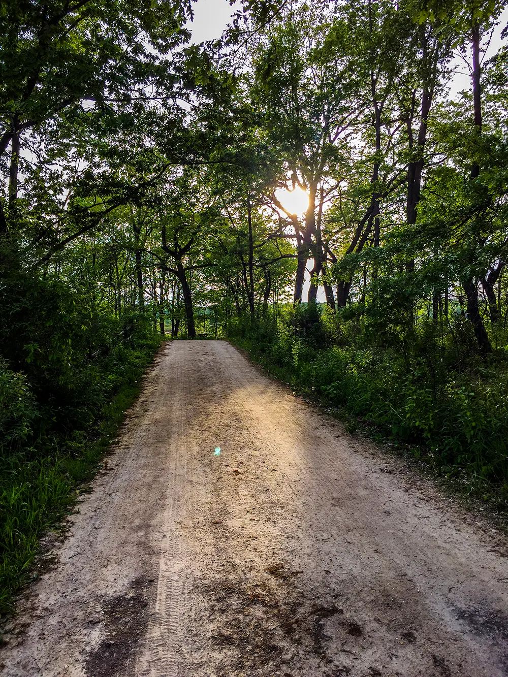 Cherokee Marsh - Madison