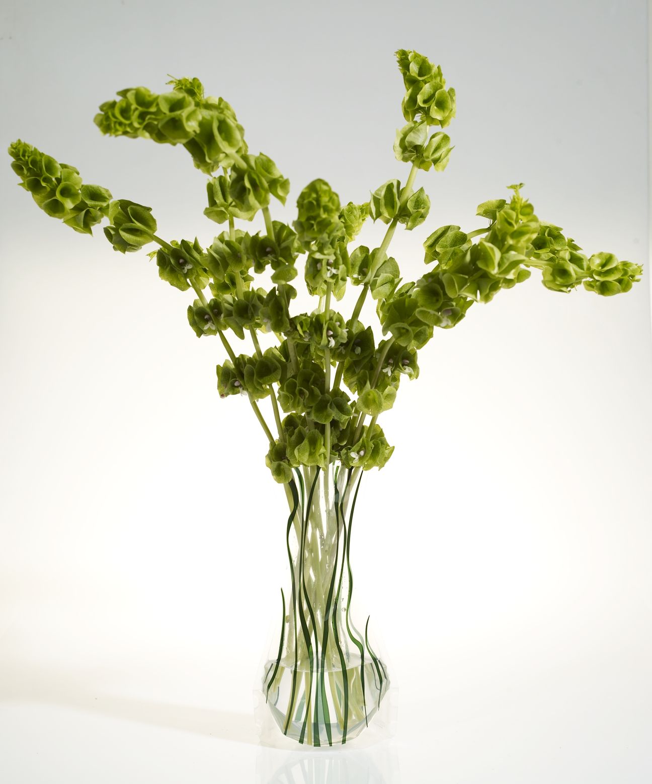 ArmaZém da Flor: VAZU - novo conceito de ......