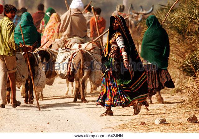 Denotified and Nomadic Tribes: Denotified and Nomadic Tribes