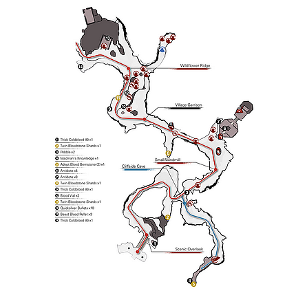 Forbidden Woods | Bloodborne Wiki
