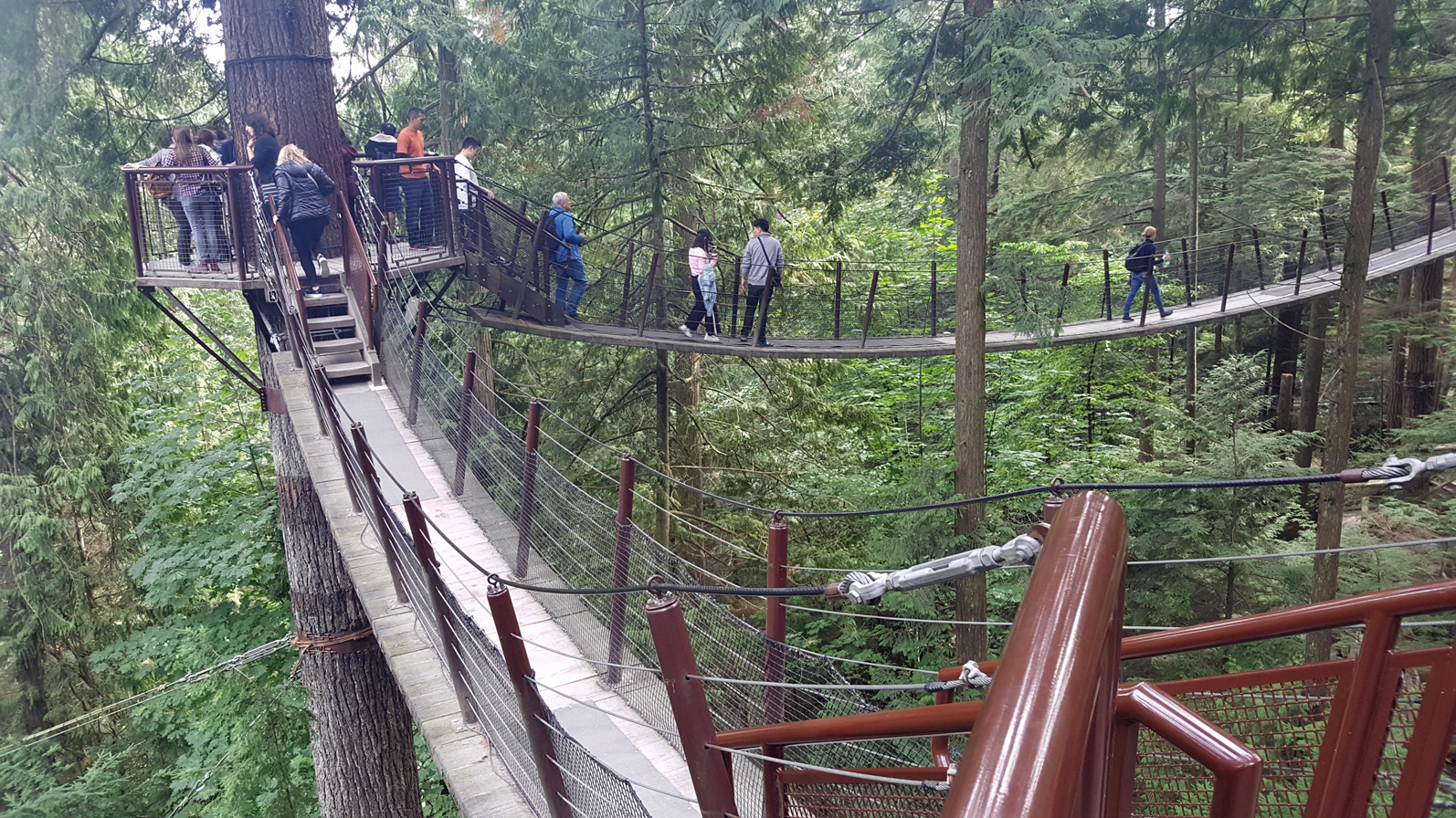 The Happy Pontist: Canadian Bridges: 6. Treetop Walkway, Capilano ...