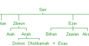 Just Genesis : Who Were the Horites?