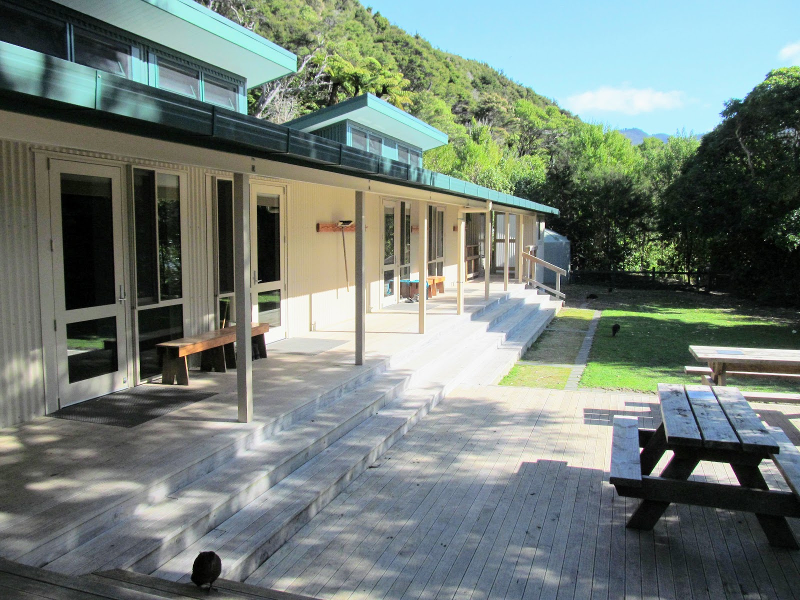 Tramping in the New Zealand backcountry: NZ Bush Adventures: Abel ...