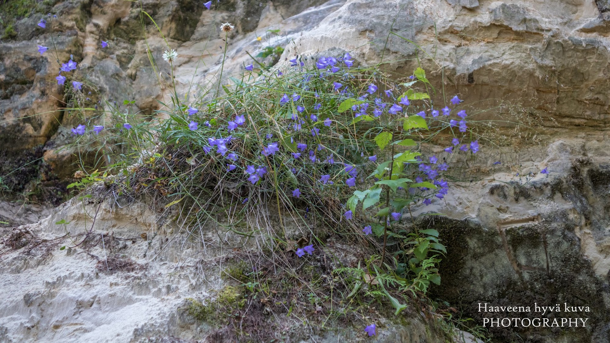 Haaveena hyvä kuva: Oru park Toila - Viro