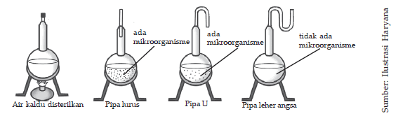 Teori Asal-Usul Kehidupan | Mikirbae.com