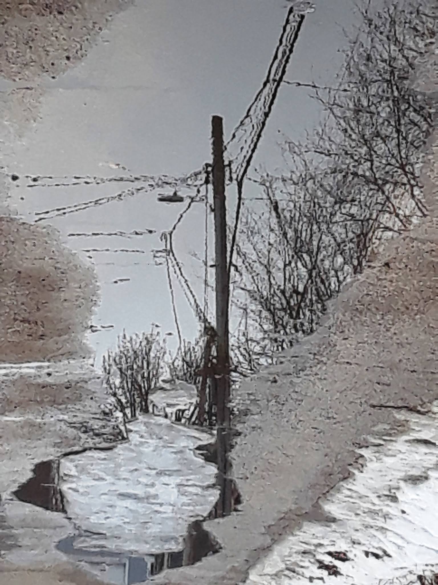 The Wild Reed: Windows Into Another World