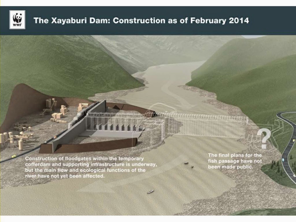 The Way of Water: Fish Passage at Xayaburi Dam Tested
