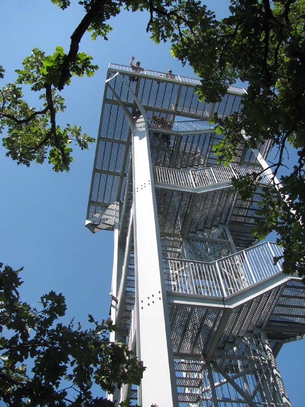 An Apel a Day: Walter Scott Jr. Observation Tower
