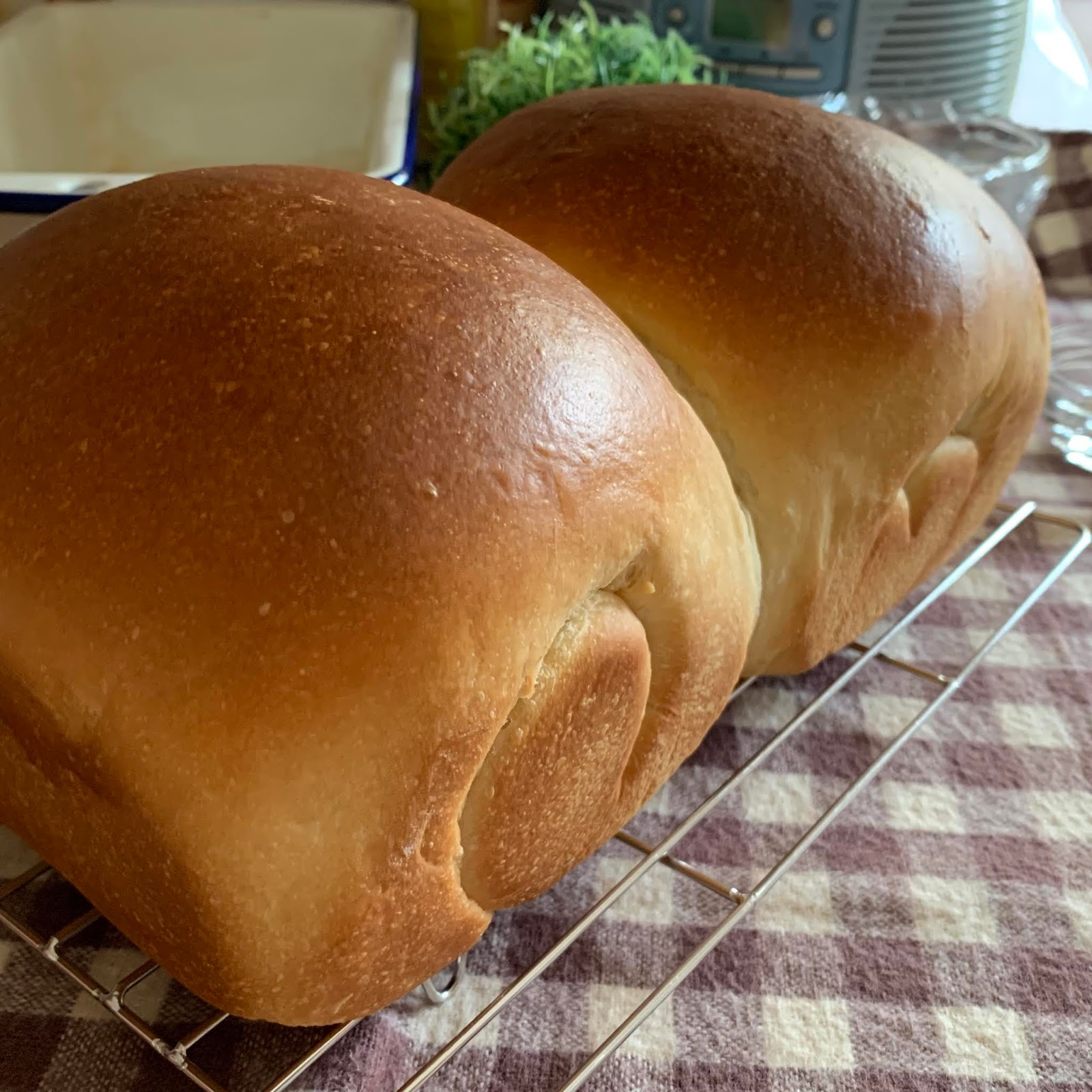 My Mind Patch: Traditional Sweet Bread I (Sponge Method)