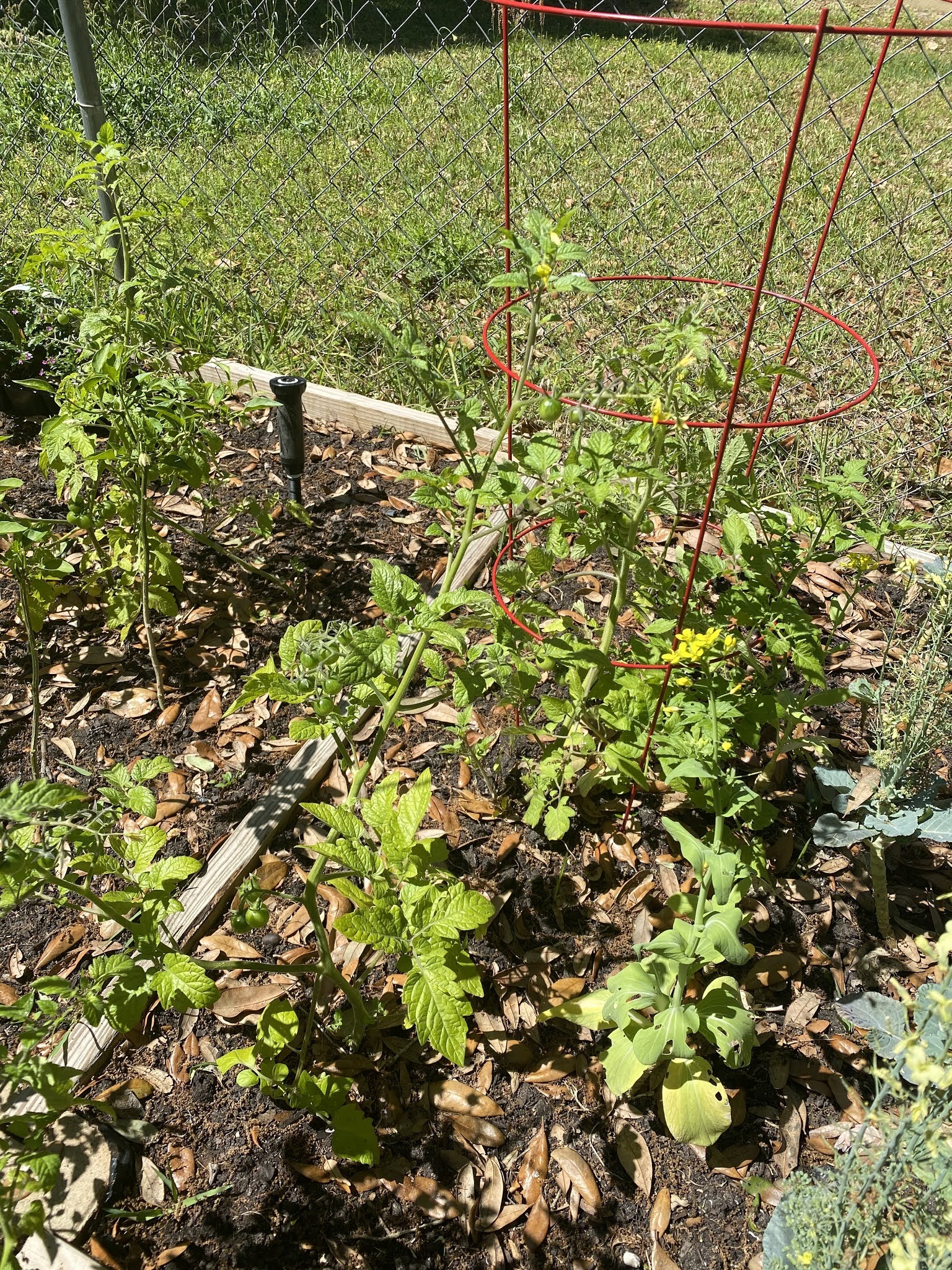 Allen Family Adventures