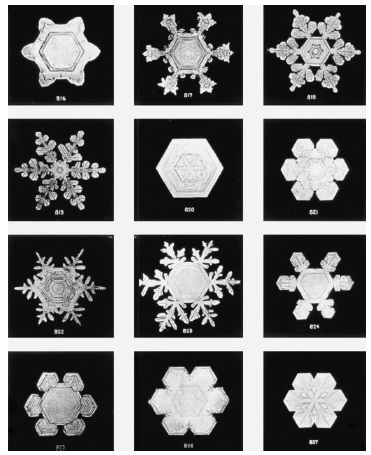 GAS PROCESSING ENGINEERING: Hydrate