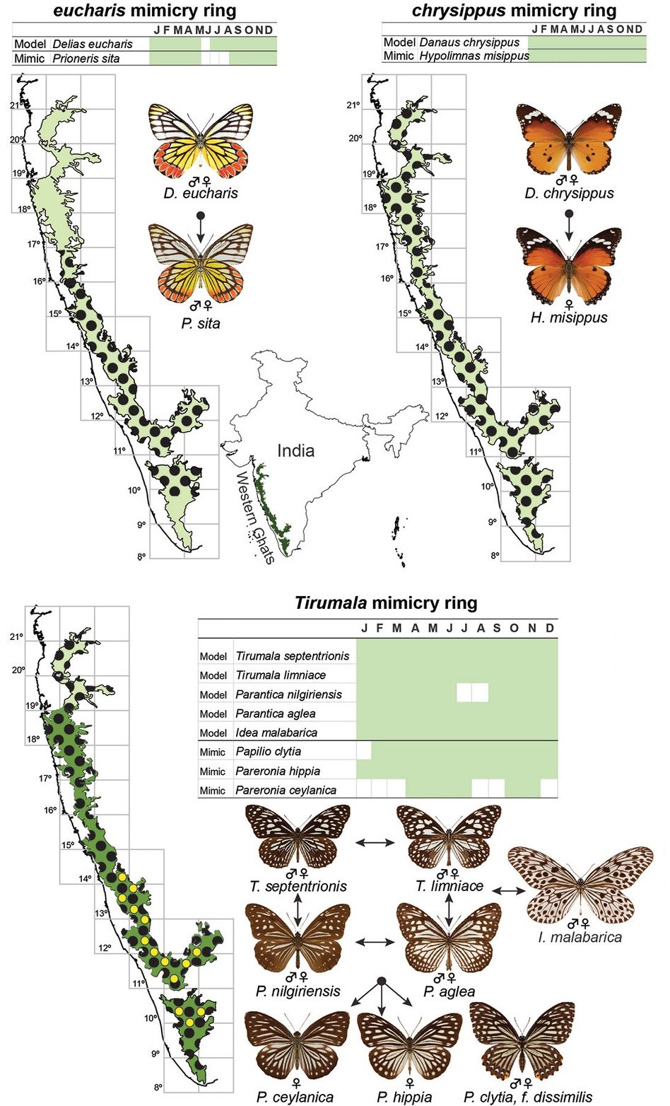 Biogeography Animals