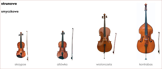 MUZYKA 7: Wielka rodzina instrumentów