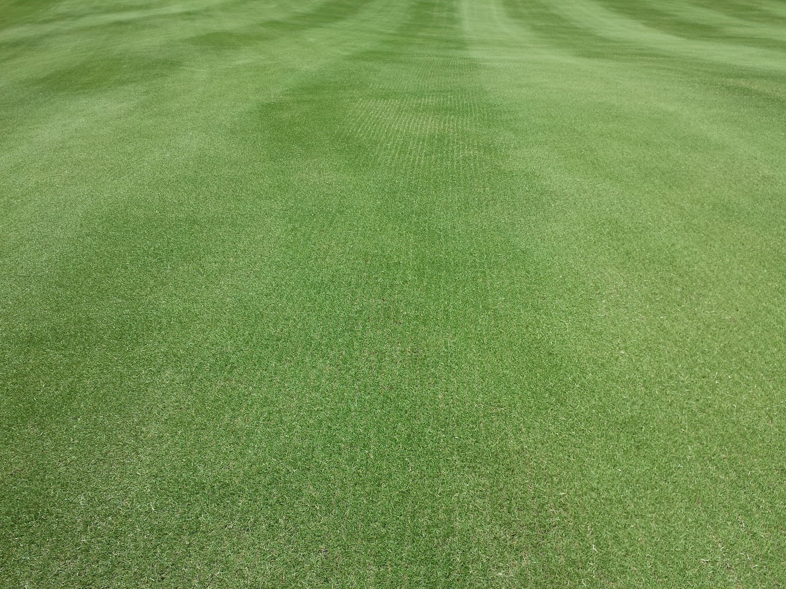 The Creek Club Golf Course Maintenance: Wiedenmann verticutting Zorro ...