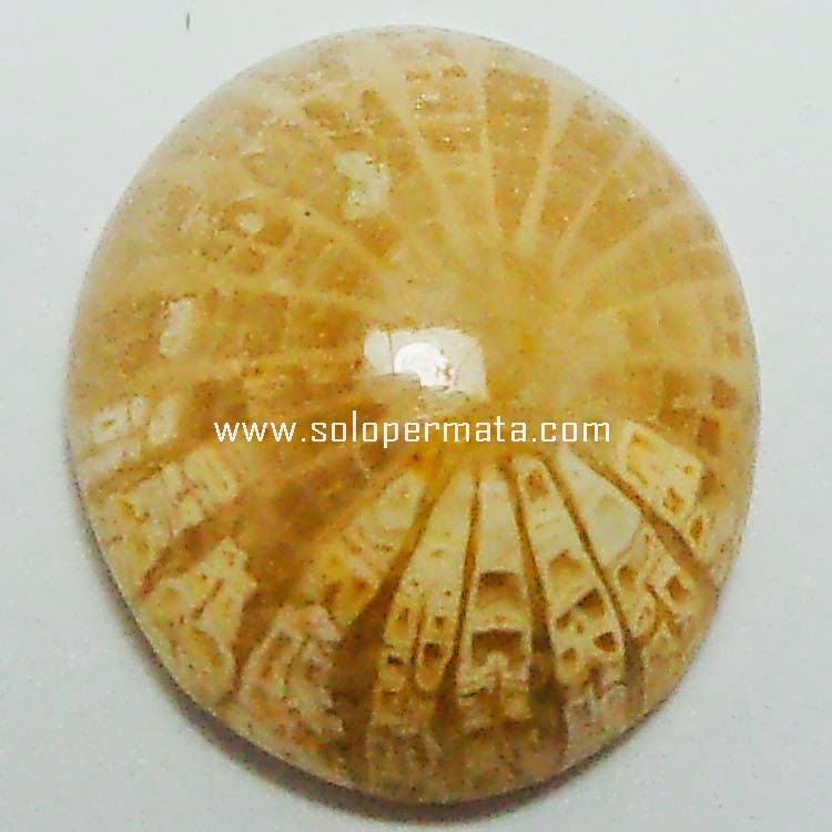 Batu Permata Akik Fosil Motif Teratai - SP050:JUAL BATU MULIA