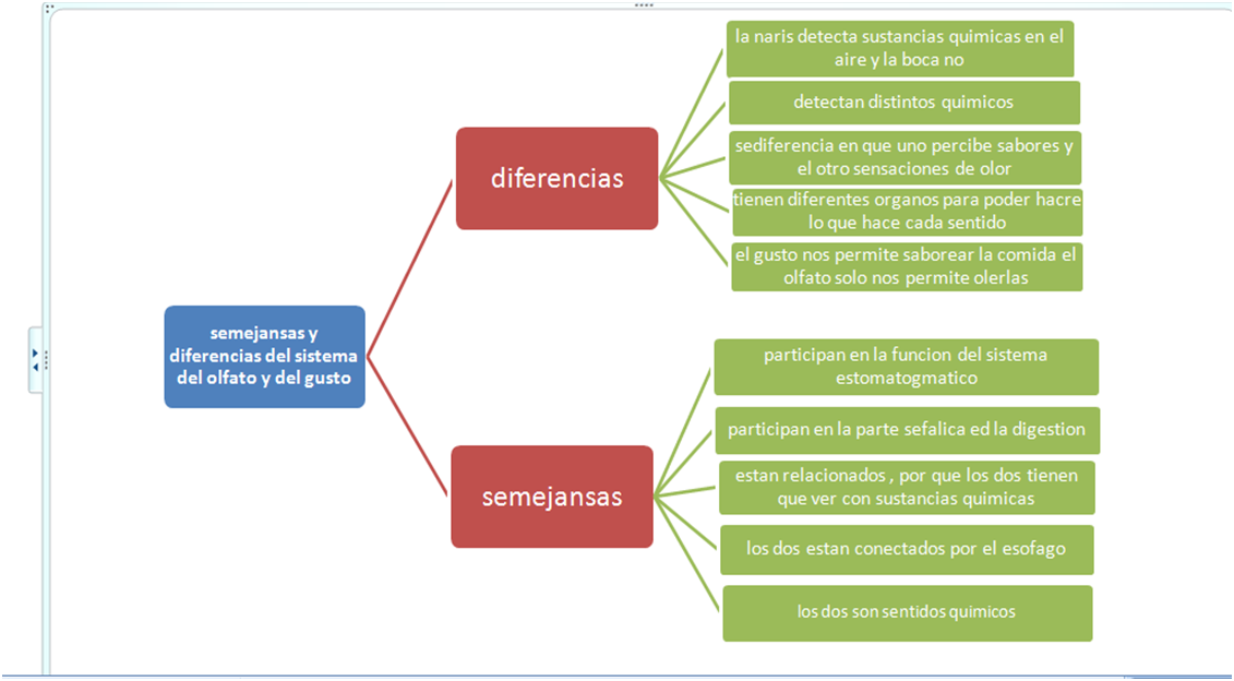Relación De Los órganos De Los Sentidos Con El Sistema Nervioso