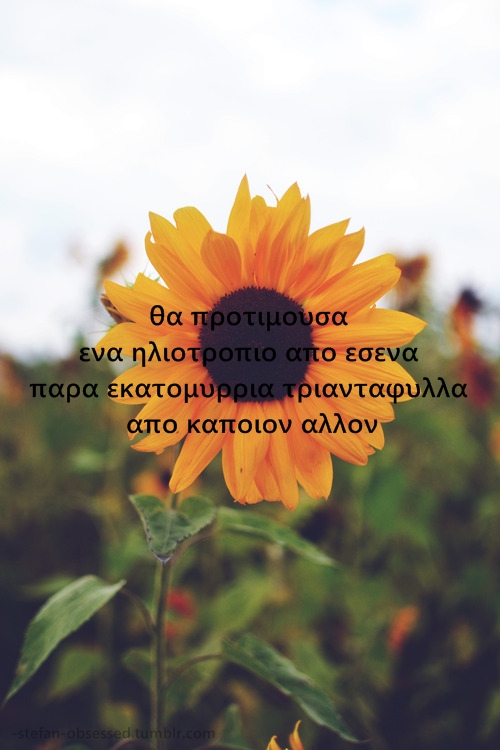Εικονες Με Νοημα