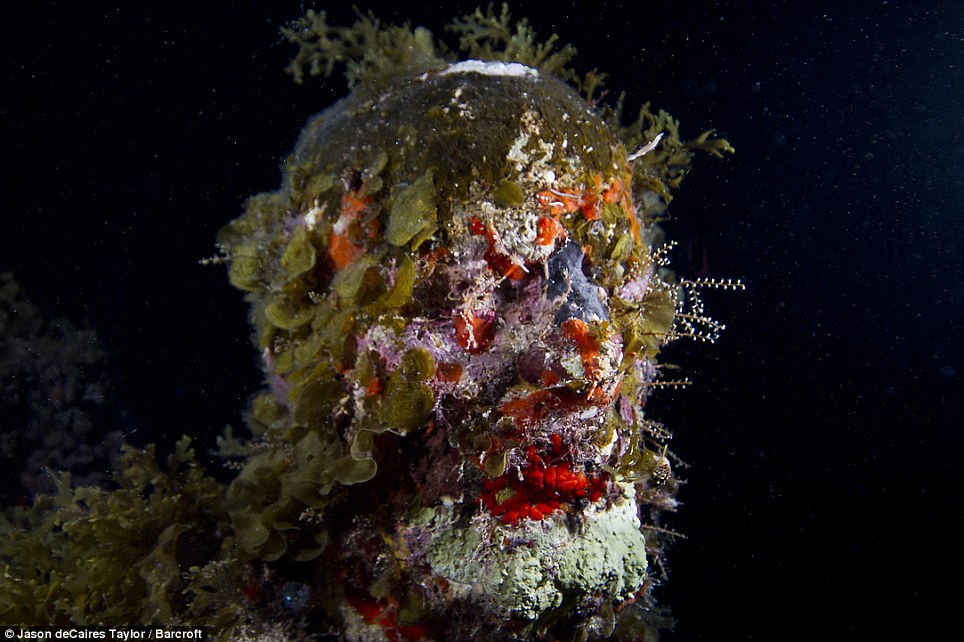 Drawing : January 2021