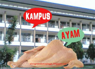 CARI AYAM KAMPUS KAMPUNG MONTOK | BOBODORAN SUNDA EUUYYYY