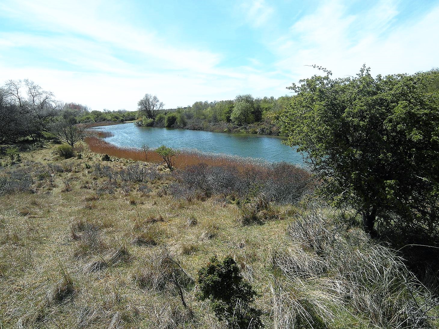 Mooiste Routes: Van Rijnwater tot Rein Water (Vogelenzang, Noord-Holland)