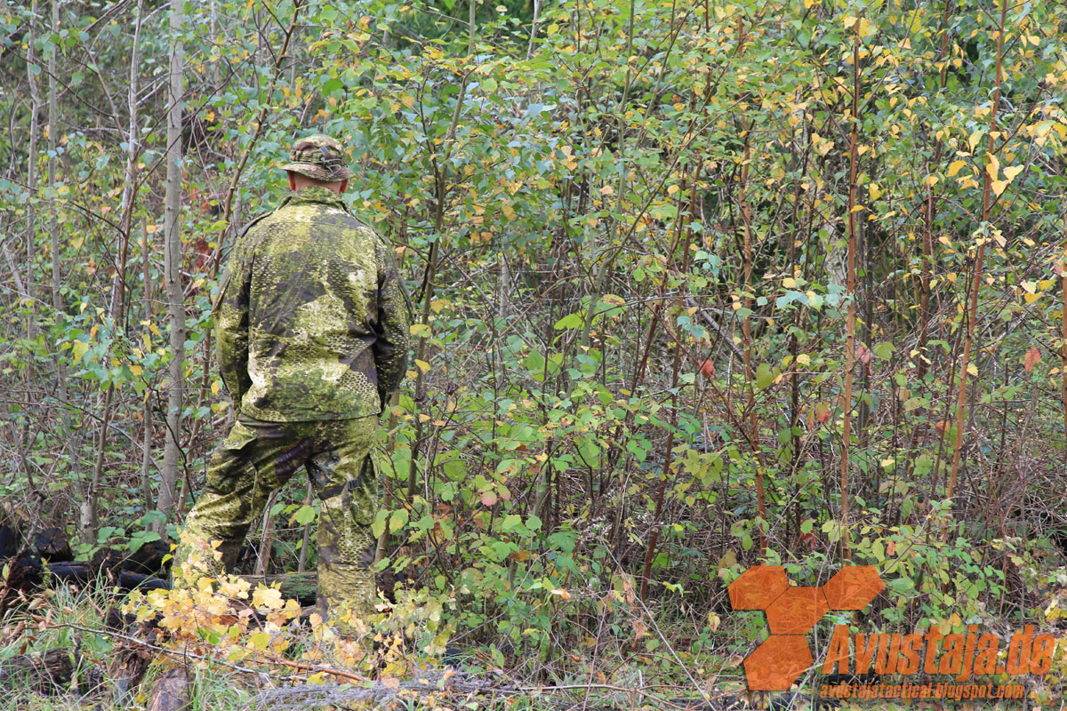 Avustaja Tactical Blog : Phantomleaf WASP II Z3a camouflage
