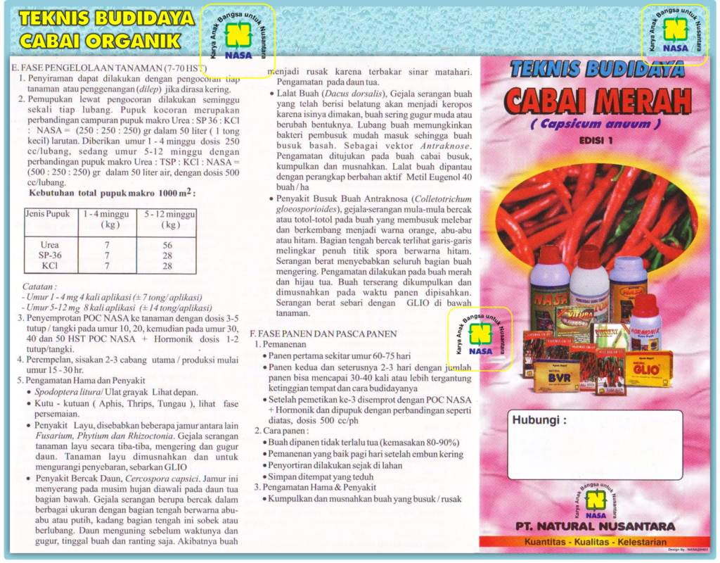 Afida "NASA" Salatiga: Paket Budidaya Cabe Organik – Lahan 1000 m2