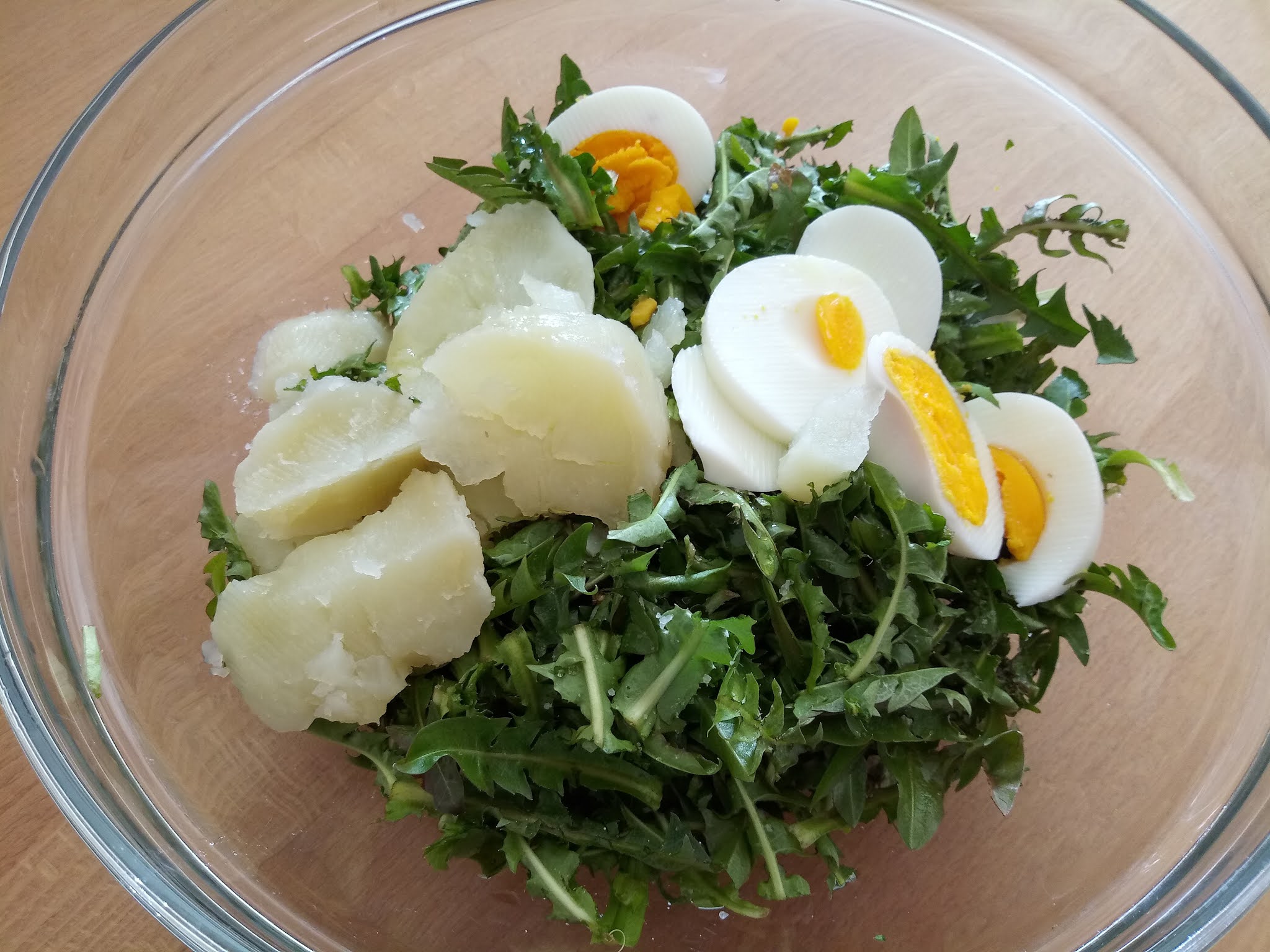 The Next 15000 Days: Dandelion