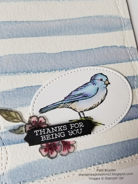 Stampin Expressions: Blue Bird