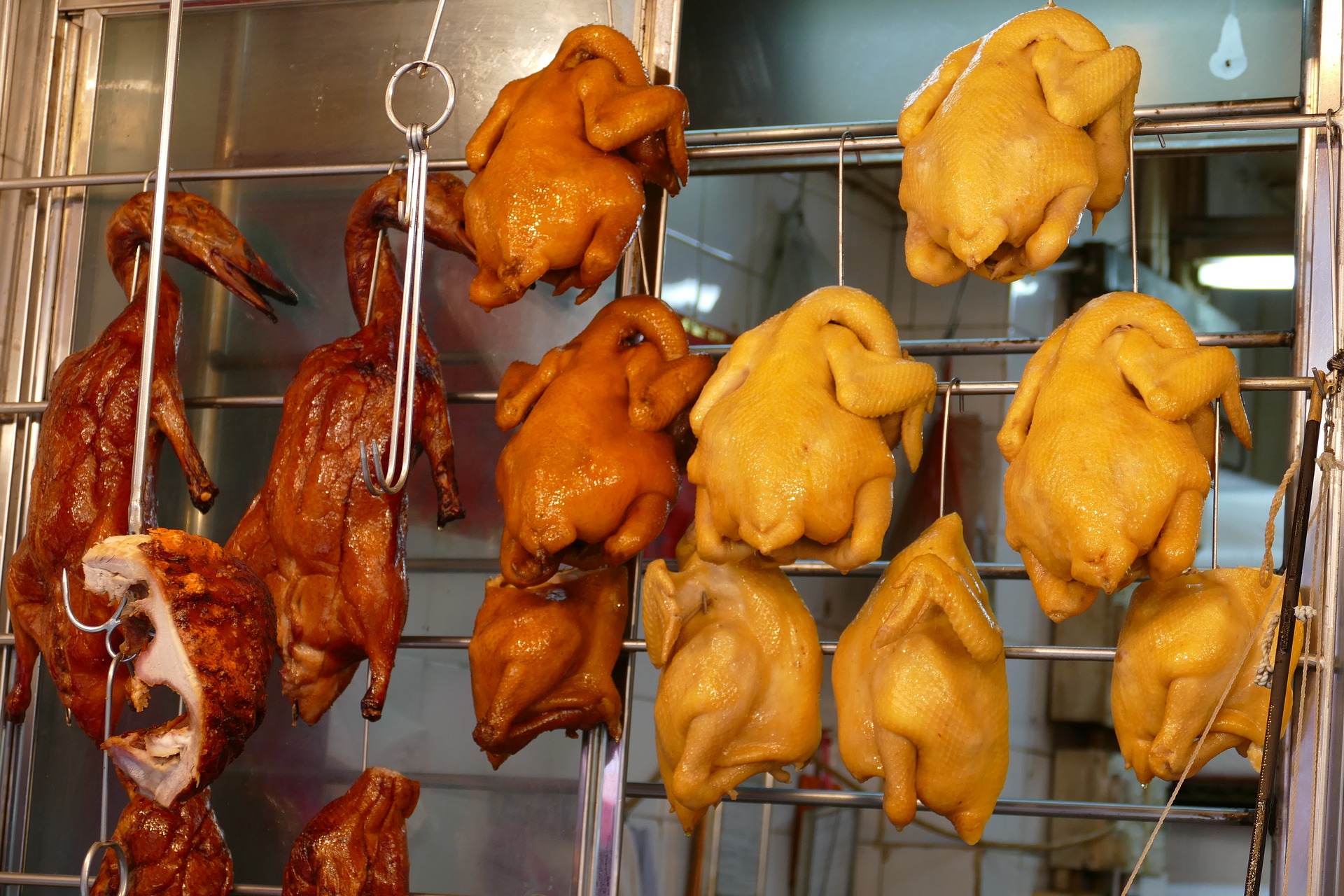 Poultry Farming Business Plan Poultry Farming For Beginners poultry-farming-business-plan-poultry-farming-for-beginners