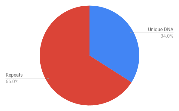 Debug Project: Debug Helps Build Improved Aedes aegypti Genome Assembly
