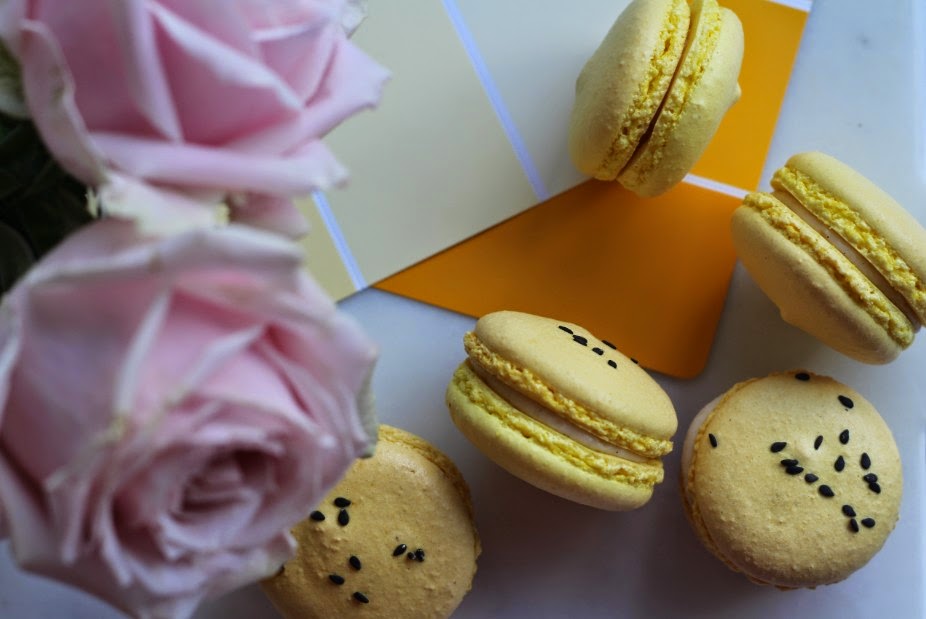 Northern Light: Nectar and Stone; Sweet Edible Art