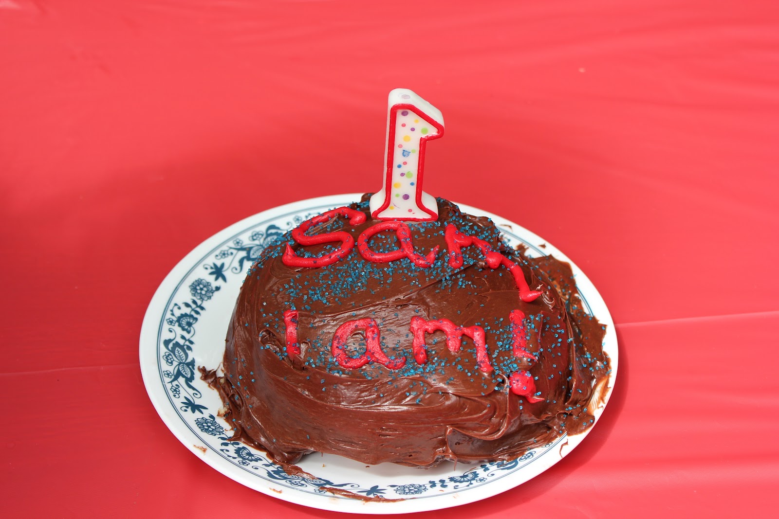 Rosebud Organics: Sam I Am is 1! A Dr. Seuss-themed 1st birthday party