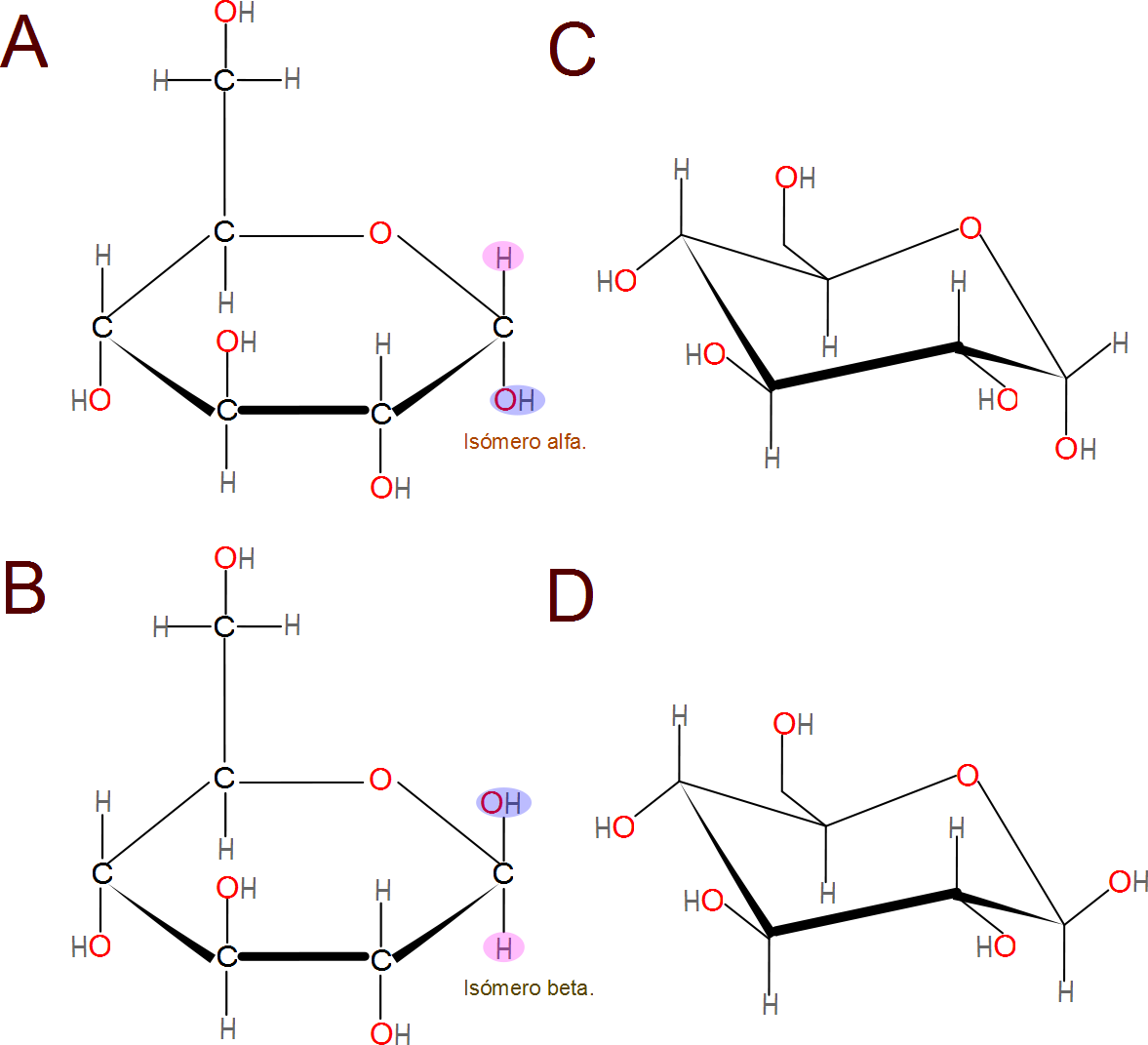 Ciencias de Joseleg: Isómeros alfa y beta de la D-(+)-glucosa