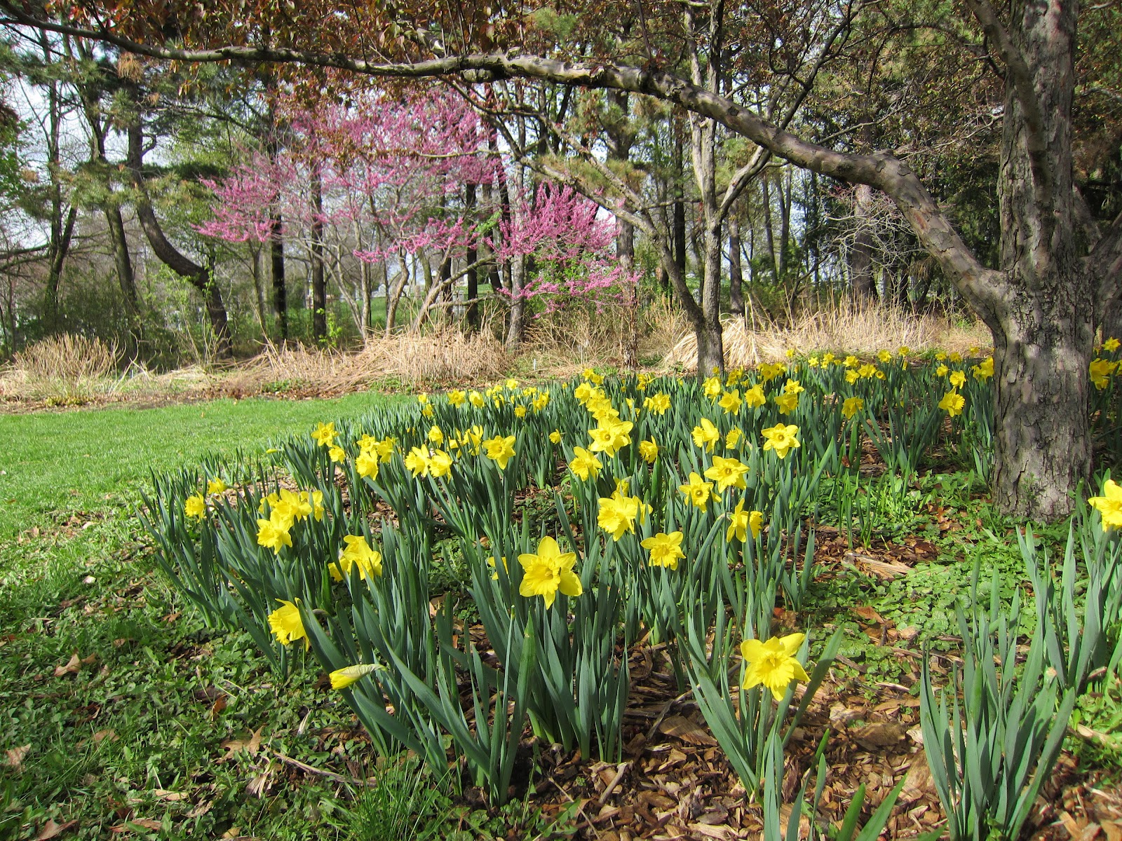 Prairie-Lakes Journeys from a Two Spirited View: Spring Landscaping and ...