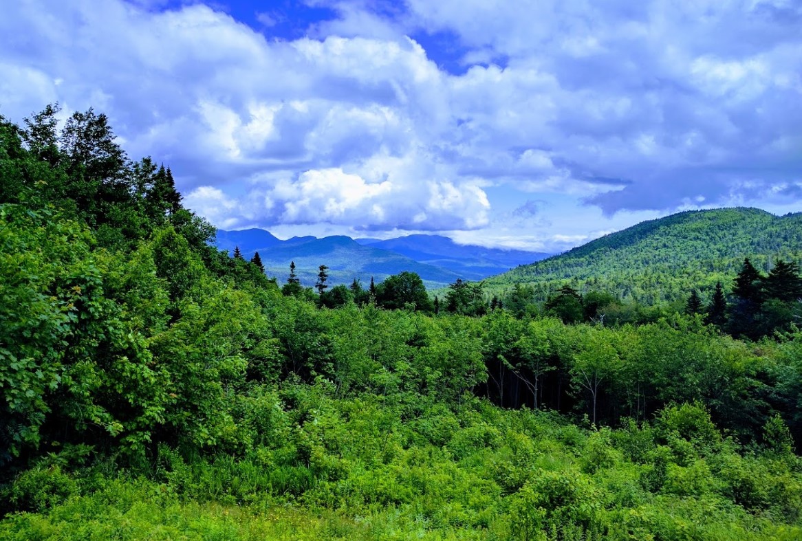 White Mountain National Forest | New Hampshire