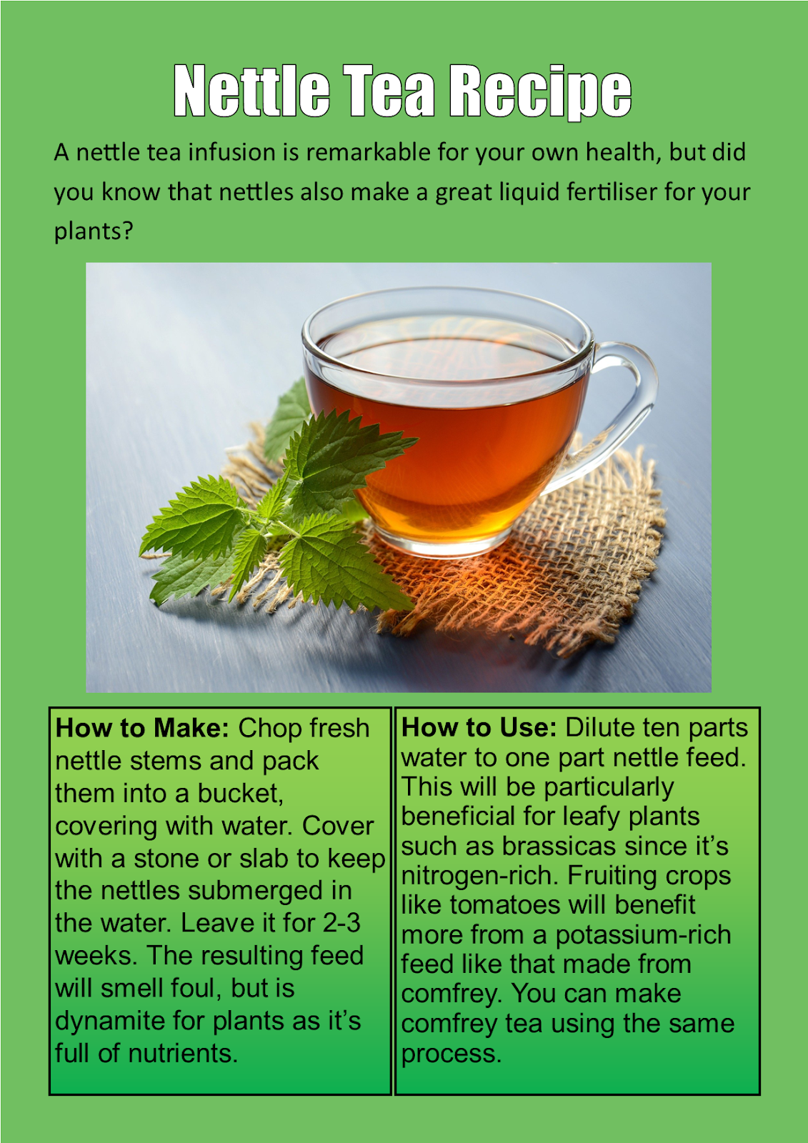 Gardening with Aideen - Nettle Tea Recipe - Sligo Community Training Centre