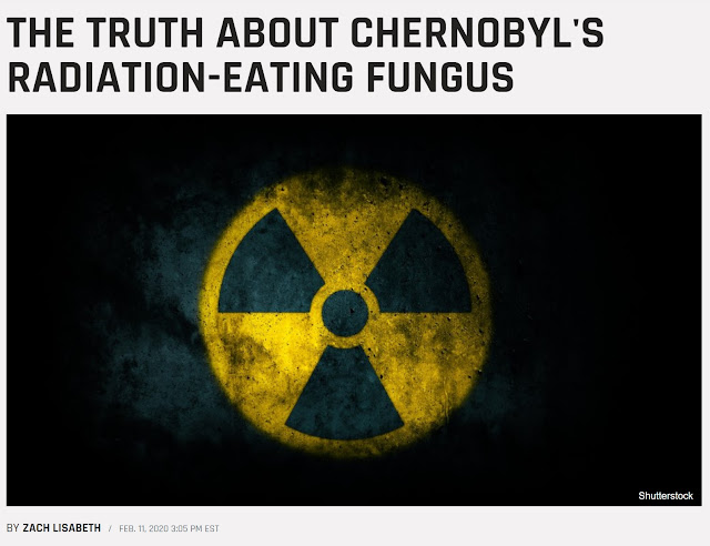 Kalea's 6th Grade, Home's Cool!!!: Radiation eating fungus
