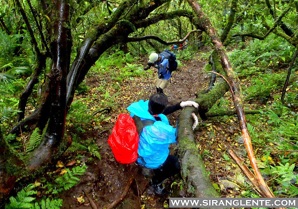 SIRANG LENTE | TRAVEL & HIKE: MT. CRISTOBAL: 2021 HIKING GUIDE | QUEZON ...