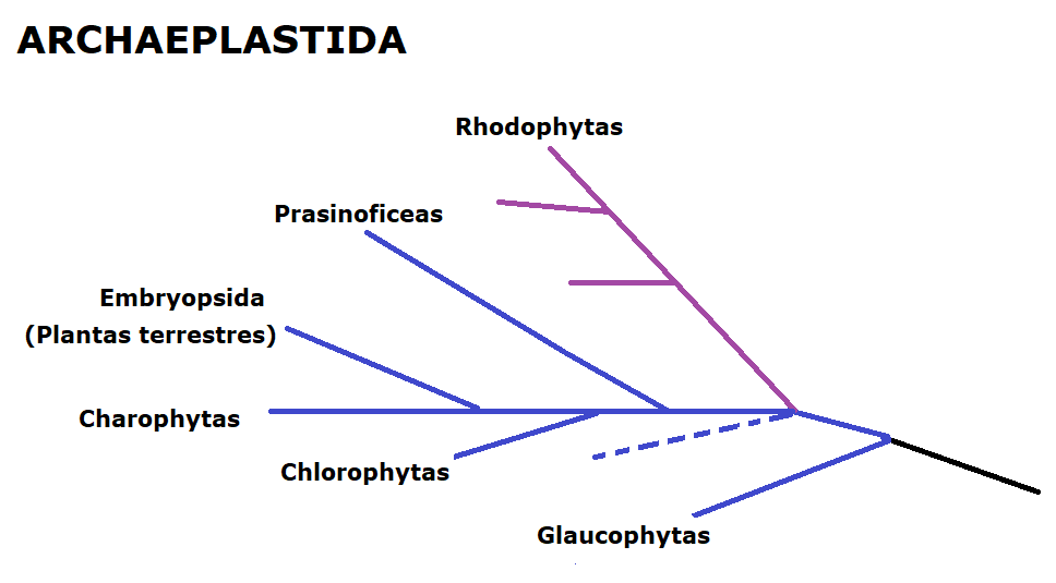 BIOLOGIA PARA A VIDA : INTRODUÇÃO A BOTÂNICA