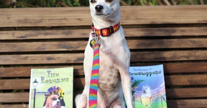 HAPPYHAZEL: Holiday Reading for Dog Lovers - The Returns Series!