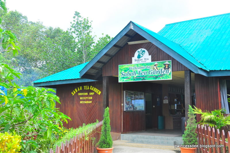 Destinasi Pelancongan Sabah: Sabah tea plantation