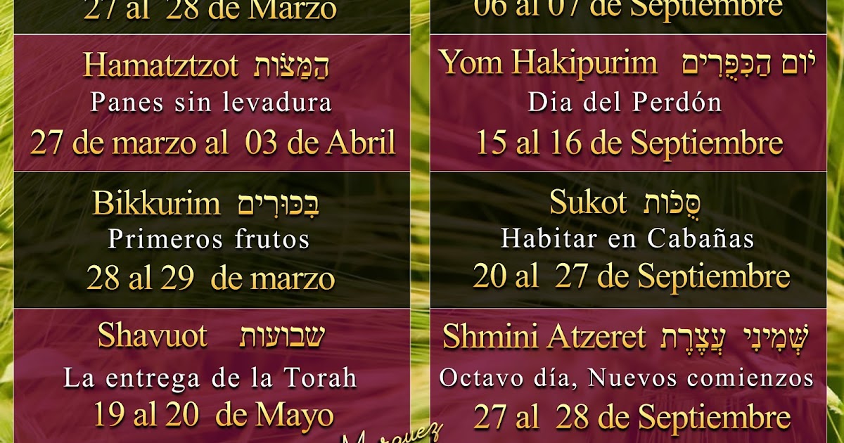 Porción de La Toráh de la Semana הר מרקיץ: Las Moadim de יהוה