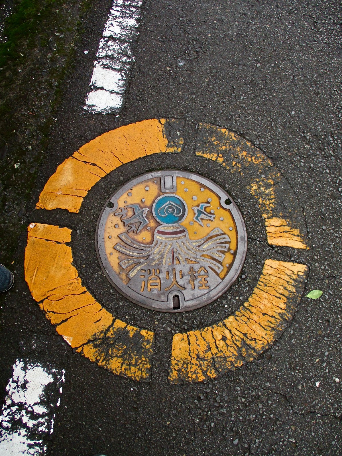 Hokkaido Kudasai: The Moss Head is Missing