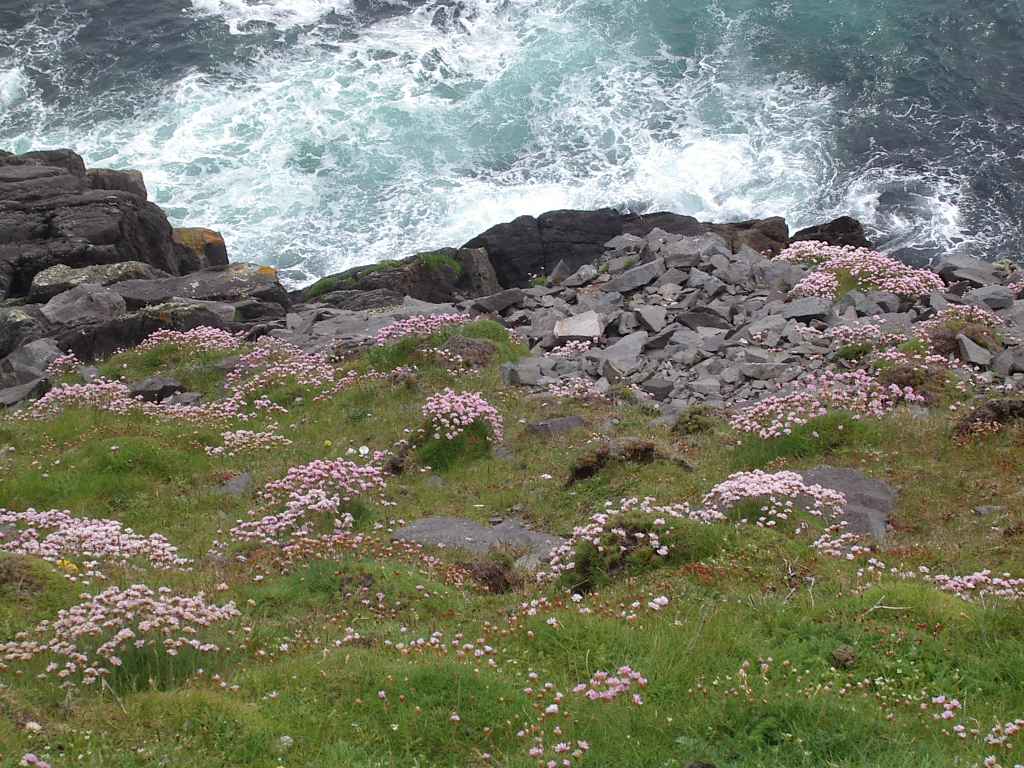 Creative Inclinations